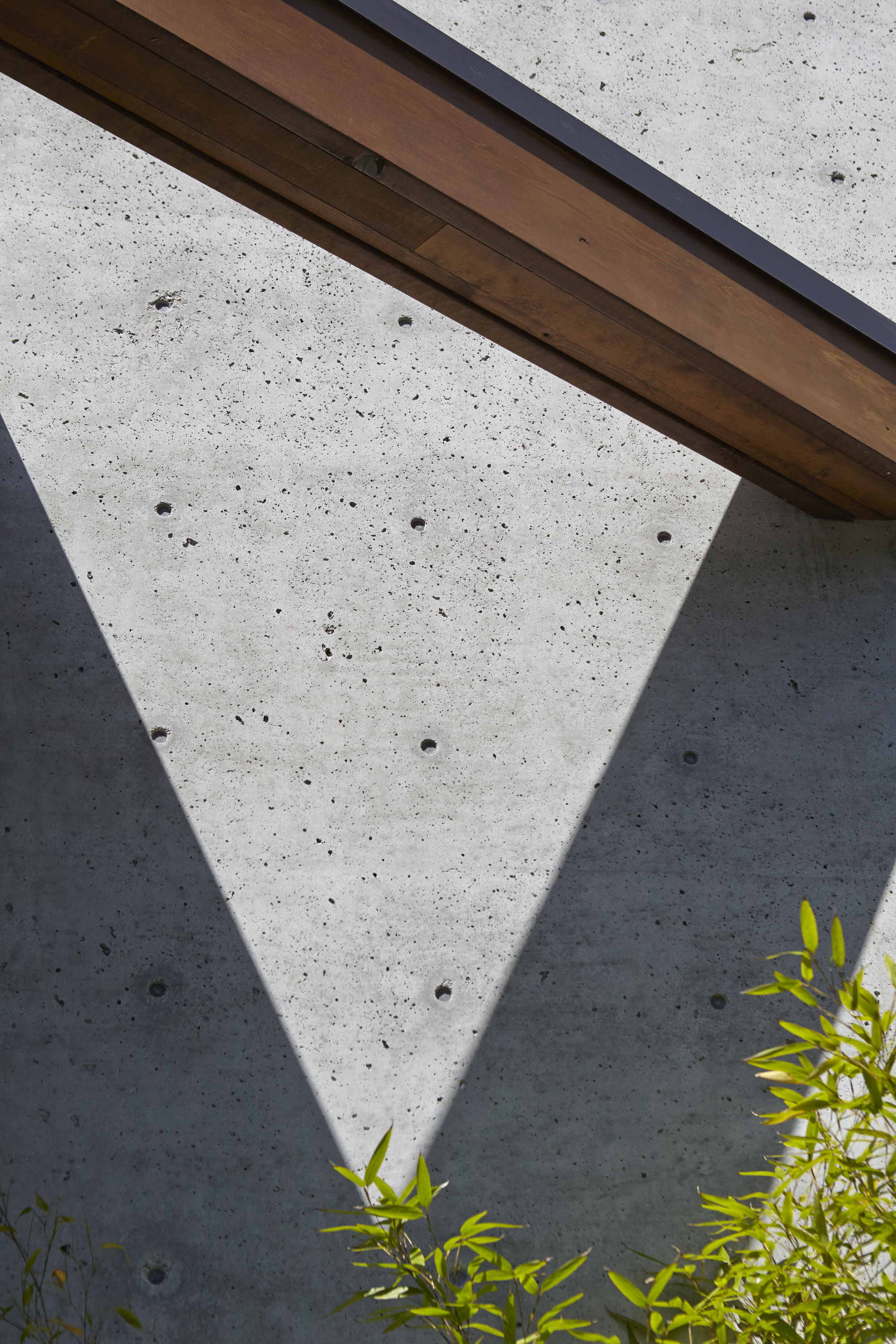 garden house - emphasis architecture + design studio
